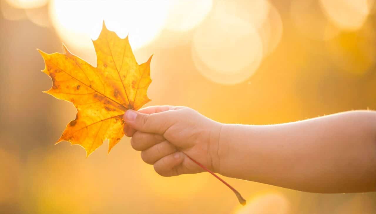 Autumn Half Term Activities at South Bristol Family Hubs - South ...